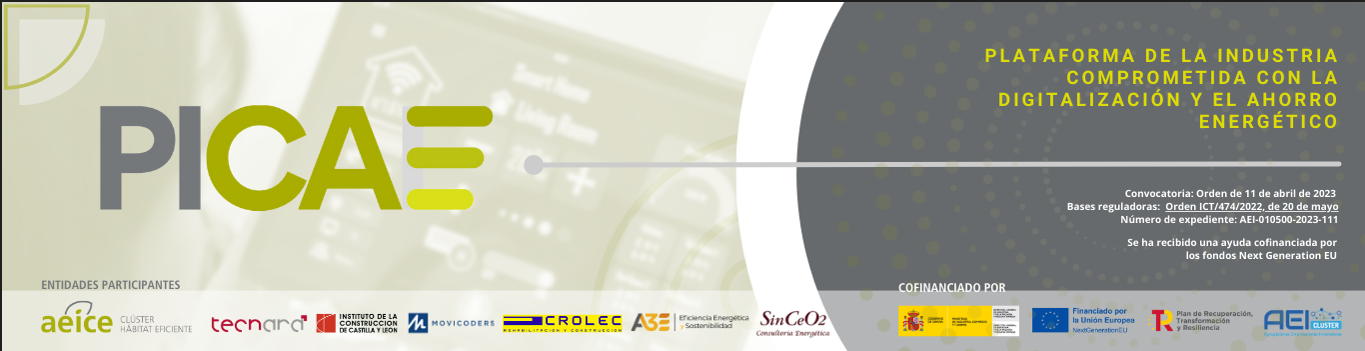 PICAE | www.iccl.es.